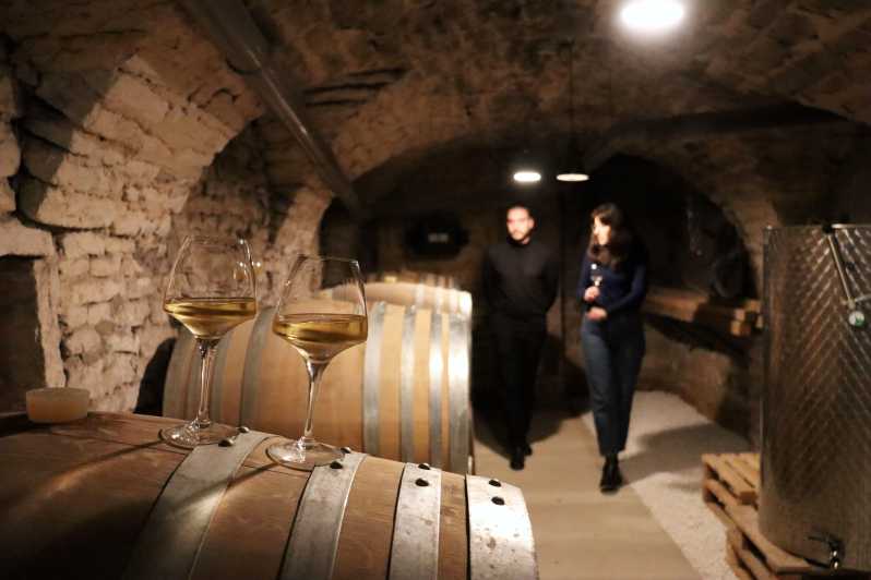Historic Center of Dijon : Discovery Tasting Wine Burgundy - The Sum Up