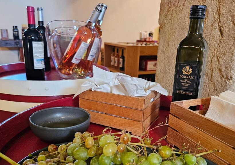 Historic centre & Wine tasting - Key Points