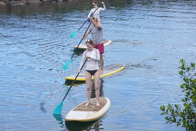 Historic Haleiwa Rainbow Bridge Stand Up Paddle (Anahulu River) - Practical Details and Value