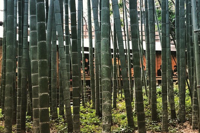 Historic Kamakura: Temples, Shrines and Street Food Private Walking Tour - Logistics and Preparation