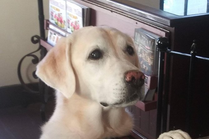 Historic Museum Tour Ticket - Admission Pricing and Booking Options