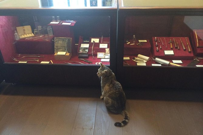 Historic Museum Tour Ticket - Historical Insights and Educational Value