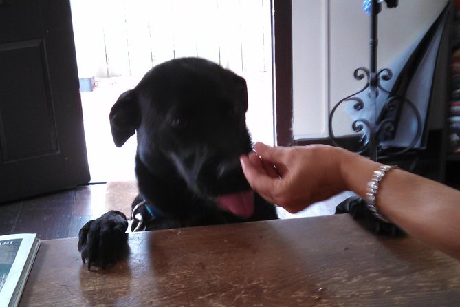 Historic Museum Tour Ticket - Tips for an Enjoyable Visit