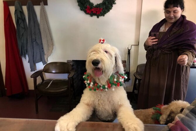 Historic Museum Tour Ticket - Frequently Asked Questions