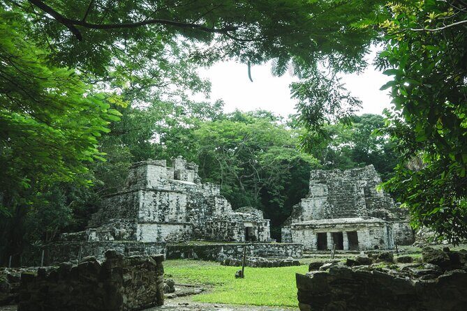 Historic Visit of Cobá with Unique Cenotes - Final Thoughts: Who Should Consider This Tour?