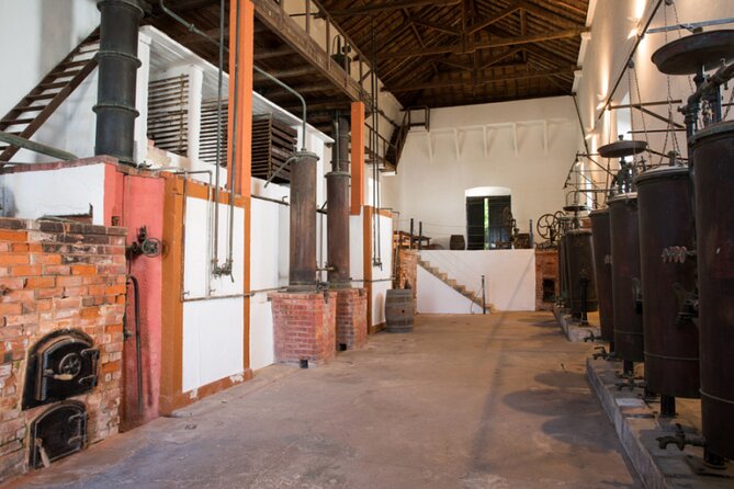 Historic Winery Tour and Tasting in Bombarral - What We Loved and What To Keep in Mind