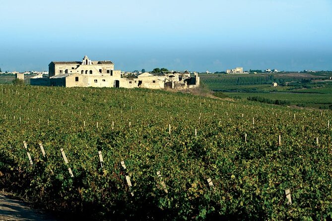 Historic winery visit with food and wine tasting in Marsala - FAQs