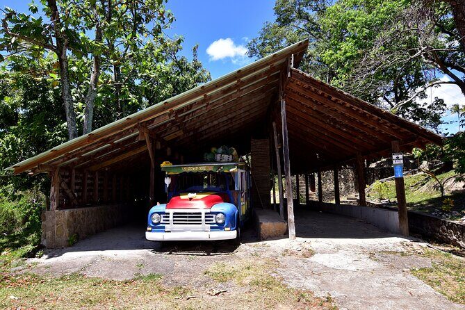 Historical 18th Century Estate Tour with Coconut Tasting - The Review Highlights and Guest Perspectives