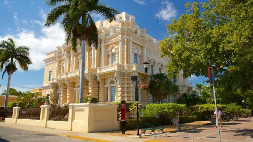 Historical and cultural tour in Merida, Yucatan, Mexico - Introduction: Why This Tour Might Be Your Perfect Introduction to Merida