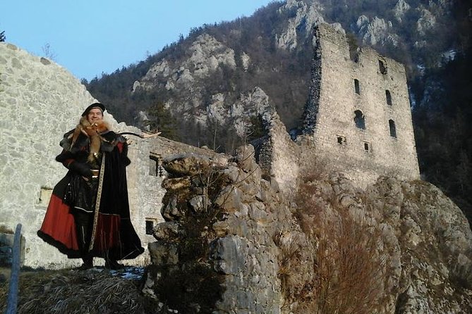 Historical And Heritage Upper Carniola Tour - Key Points