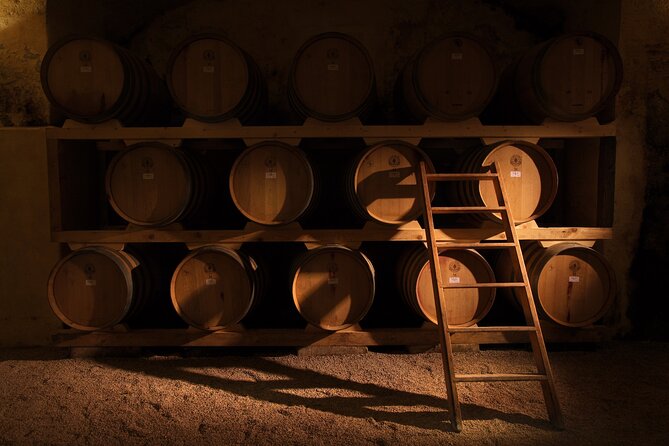 Historical Cellar Visit and Wine Tasting in Salento - A Thoughtful Look at the Castel di Salve Wine Tour in Salento