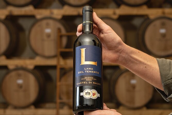 Historical Cellar Visit and Wine Tasting in Salento - An In-Depth Look at What You Can Expect