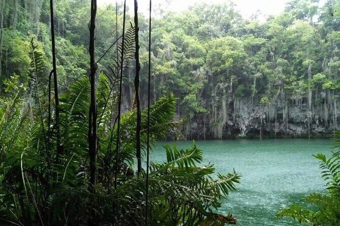 Historical Cultural and Gastronomy Adventure in Santo Domingo - An In-Depth Look at the Experience