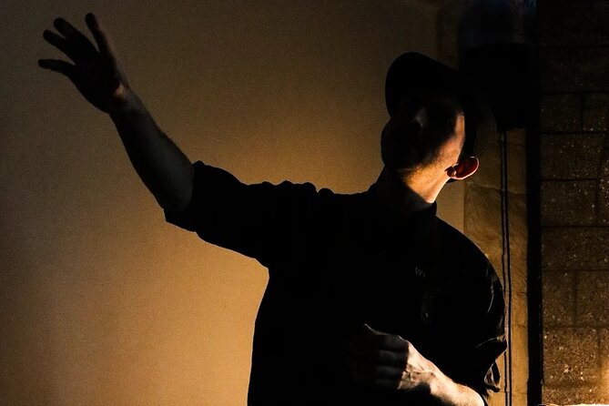 Historical Dublin Walking Tour - Accessibility and Additional Information