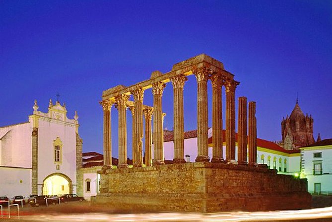 Historical Évora - PRIVATE Full Day Tour - Cork, Wine and Olive Oil Haven - Who Should Book This Tour?
