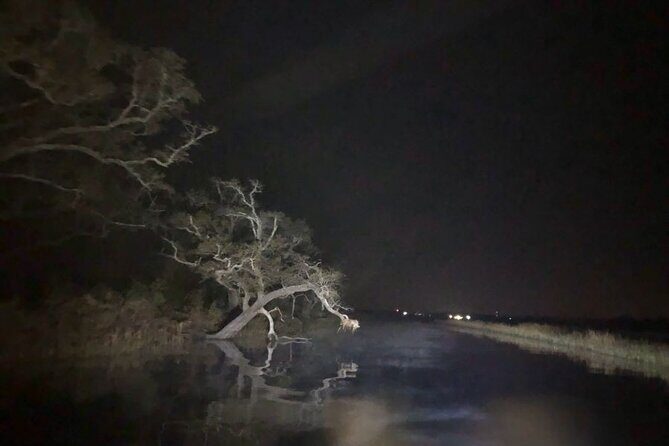 Historical Haunted Bayou Cruise - Authentic Reviews and Experiences