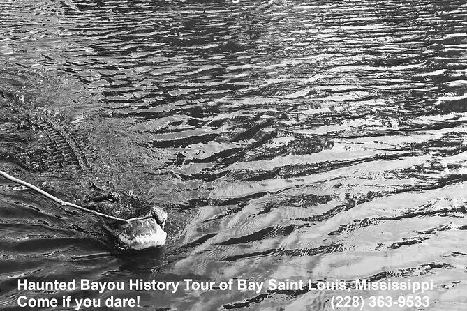 Historical Haunted Bayou Cruise - Final Thoughts: Who Will Love This Tour?