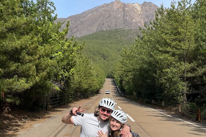 Historical Hill Climb E-bike Tour to Sakurajimas Peak - Exploring Sakurajima: Volcanic Wonders