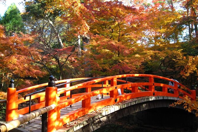 Historical Kyoto Bike Tour (E-Bike or Sport Bike) - Preparing for the Tour