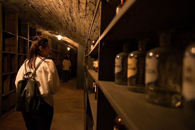 Historical Pharmacy Cellar Guided Tour - Exploring the Itinerary: What to Expect
