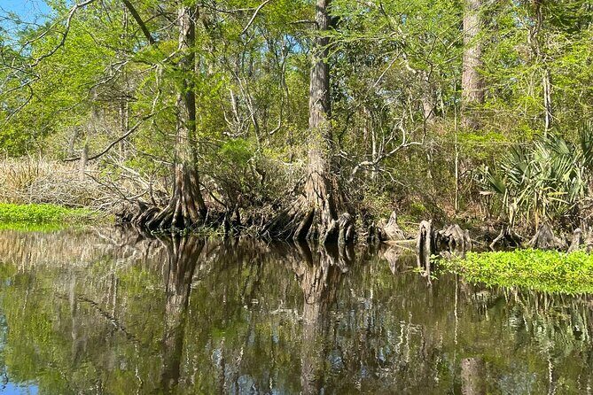 Historical Scenic Bayou Swamp Water Trail Kayak Tour - Key Points