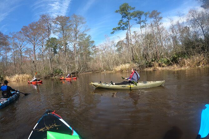 Historical Scenic Bayou Swamp Water Trail Kayak Tour - Authenticity and Unique Aspects