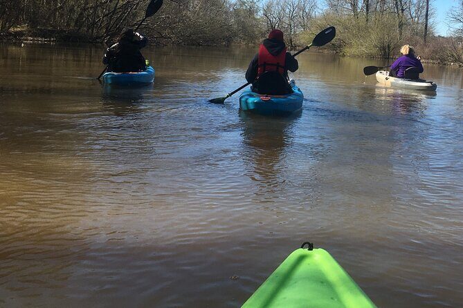 Historical Scenic Bayou Swamp Water Trail Kayak Tour - The Sum Up: Is This Tour Worth It?