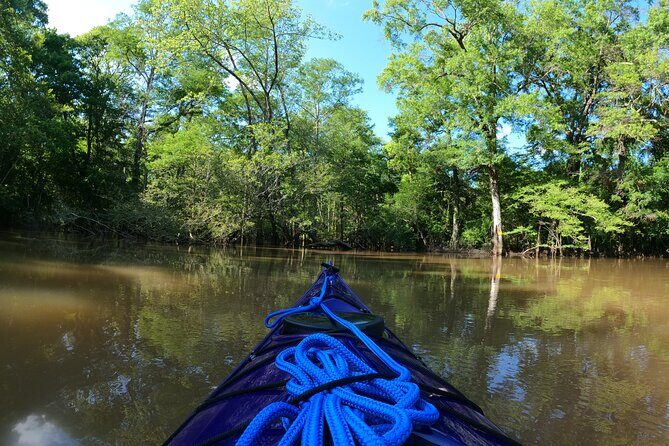Historical Scenic Bayou Swamp Water Trail Kayak Tour - FAQ