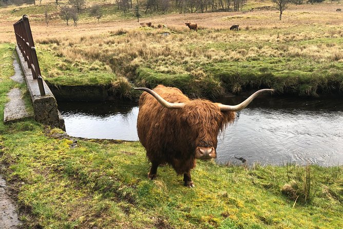 Historical Tour and Seafood Experience - Unique Historical Landmarks