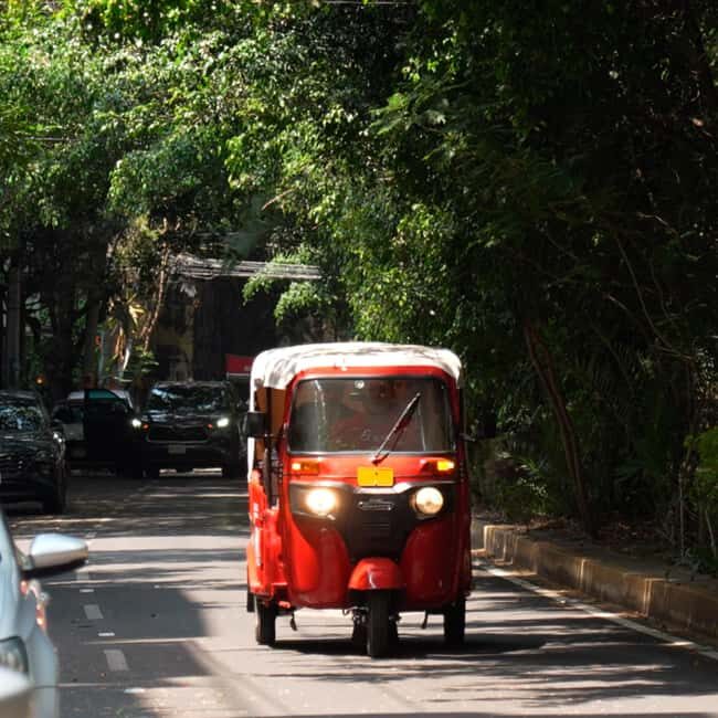 Historical Tour in Tuktuk  Roma Condesa - Practical Details & What to Expect