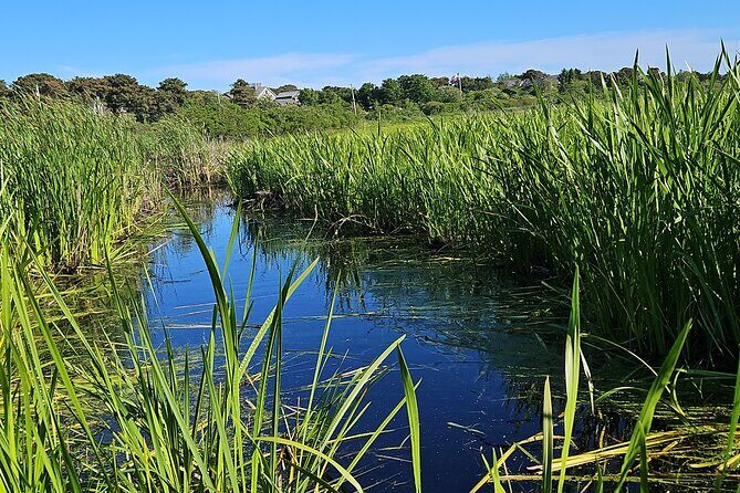 Historical Tour of Nantucket - A Deep Dive into the Experience