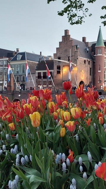 Historical Tour of The Hague - A Detailed Look at the Tour Experience