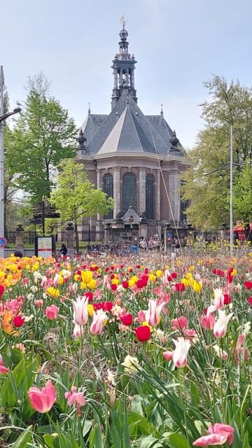 Historical Tour of The Hague - What Travelers Say