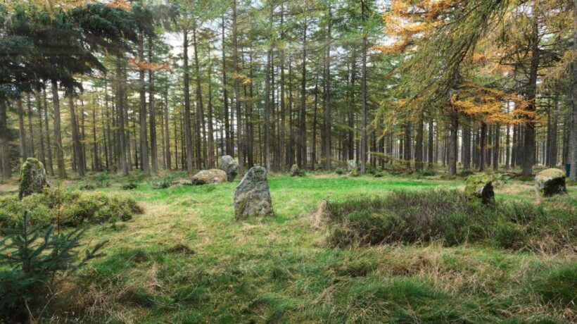 History and Nature: Full-Day Private Tour from Aberdeen - Comfort and Practicalities