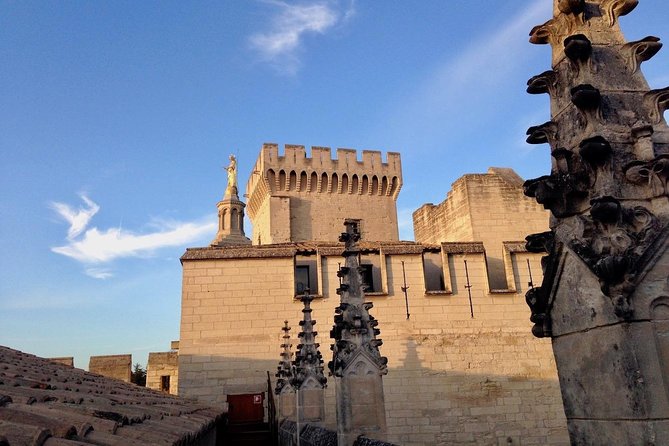 History and Van Gogh in Provence From Aix-En-Provence - Evaluating the Value: Pricing and Participant Feedback