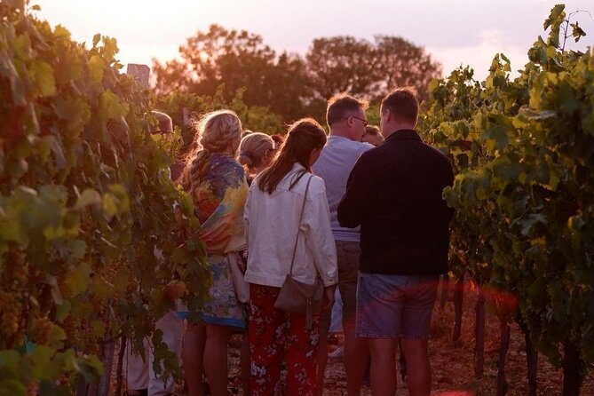 History & Local Wines: Amphitheater, Mitrium and Winery Visit - The Sum Up: Who Should Consider This Tour