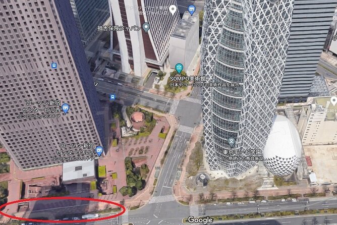 Hitachi National Seaside Park's Flowers & Ashikaga Flower Park - Prioritizing Ashikaga Flower Park