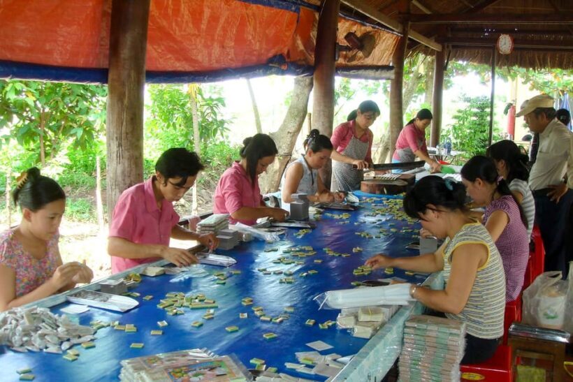Ho Chi Minh: 3-Day Mekong Delta & Optional Exit to PhnomPenh - Final Thoughts: Who Will Love This Tour