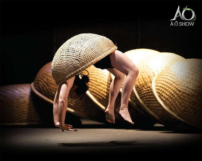 Ho Chi Minh: A O Show Bamboo Circus at Saigon Opera House - The Itinerary and Experience Breakdown