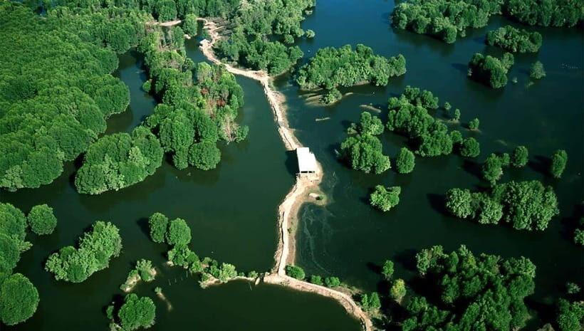 Ho Chi Minh: CAN GIO BISOPHERE RESERVE- ISLAND MONKEY - Who Would Love This Tour?