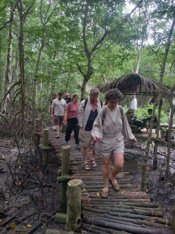 Ho Chi Minh: Can Gio Mangrove and Monkey Island - What Makes This Tour Special?
