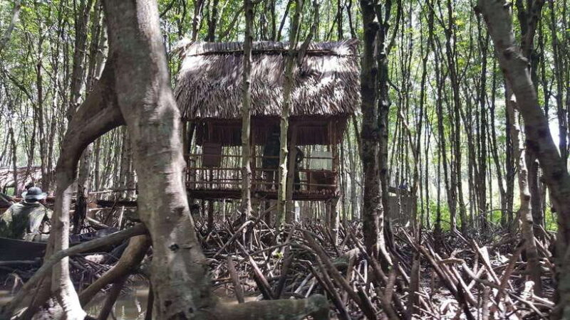 Ho Chi Minh: Can Gio Mangrove Forest Private Adventure - Introduction