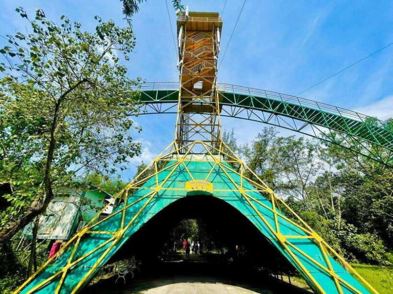 Ho Chi Minh: Can Gio Mangrove Forest Private Adventure - A Tasty Vietnamese Lunch