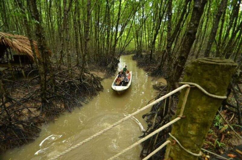 Ho Chi Minh: Can Gio Mangrove Forest Private Adventure - Considerations for Travelers