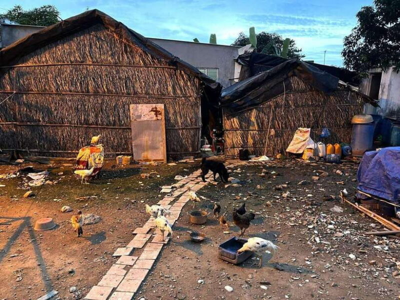 Ho Chi Minh: Can Gio Monkey Island & Salt Kingdom - Key Points