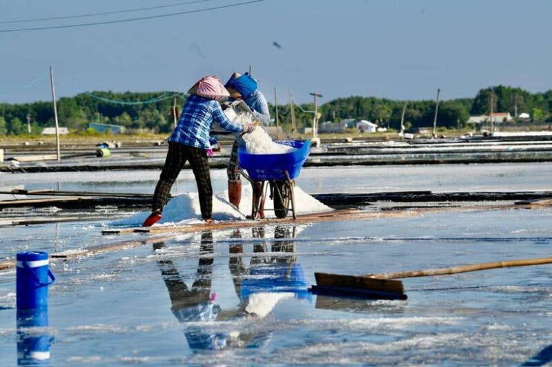 Ho Chi Minh: Can Gio Monkey Island & Salt Kingdom - Transportation, Timing, and Group Size