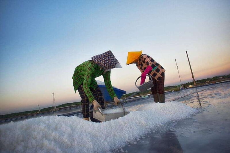 Ho Chi Minh: Can Gio Monkey Island & Salt Kingdom - Final Thoughts