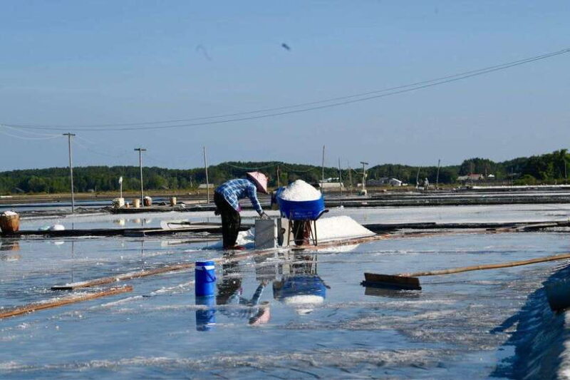 Ho Chi Minh: Can Gio Monkey Island & Salt Kingdom - FAQ