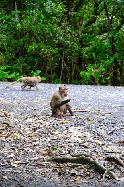 Ho Chi Minh City: Can Gio Mangrove & Wildlife Speedboat Tour - The Itinerary in Detail