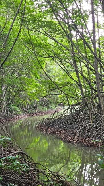 Ho Chi Minh City: Can Gio Mangrove & Wildlife Speedboat Tour - Who Will Love This Tour?